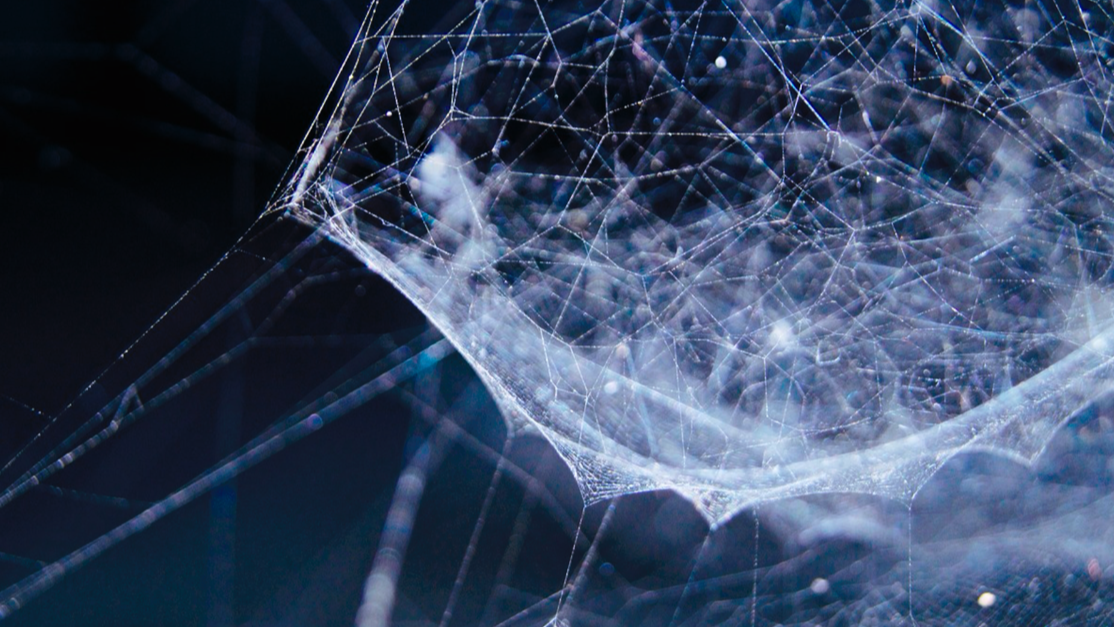 From Control to Coherence: How We Build What’s Next - co-shift GmbH